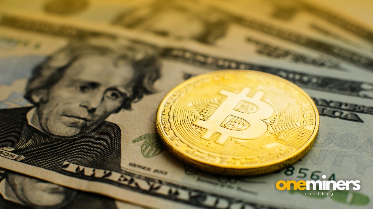 Bitcoin vs USD Inflation: What 2025 Investors Must Know